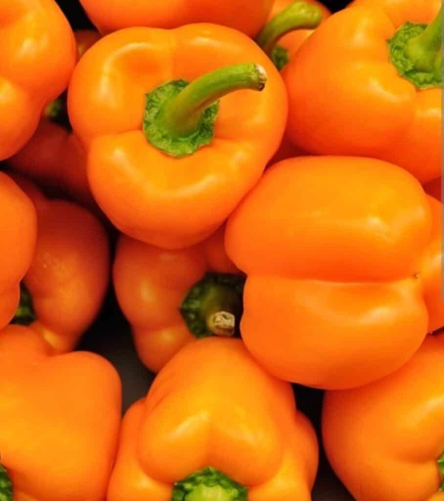Paprika ‘Afrodita’ | Tado Ūkis
